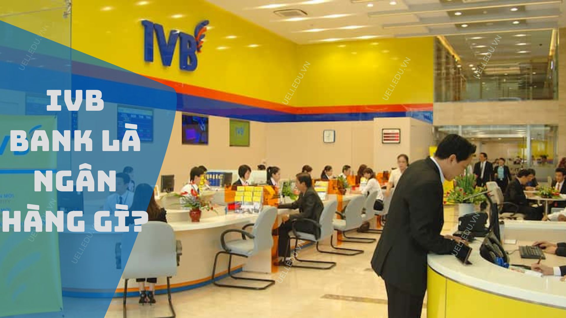 IVB Bank Là Ngân Hàng Gì? Thuộc Ngân Hàng Tư Nhân Hay Nhà Nước? An Toàn Không?